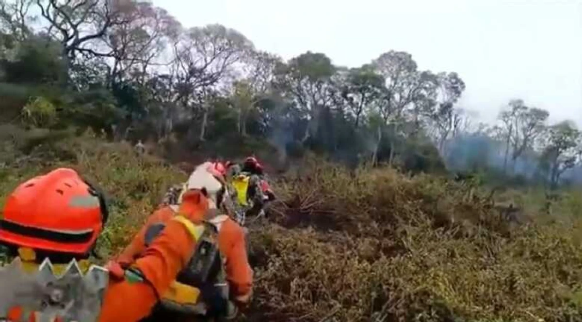 Governo Do Ms Anuncia Controle Total De Incêndios No Pantanal Mas
